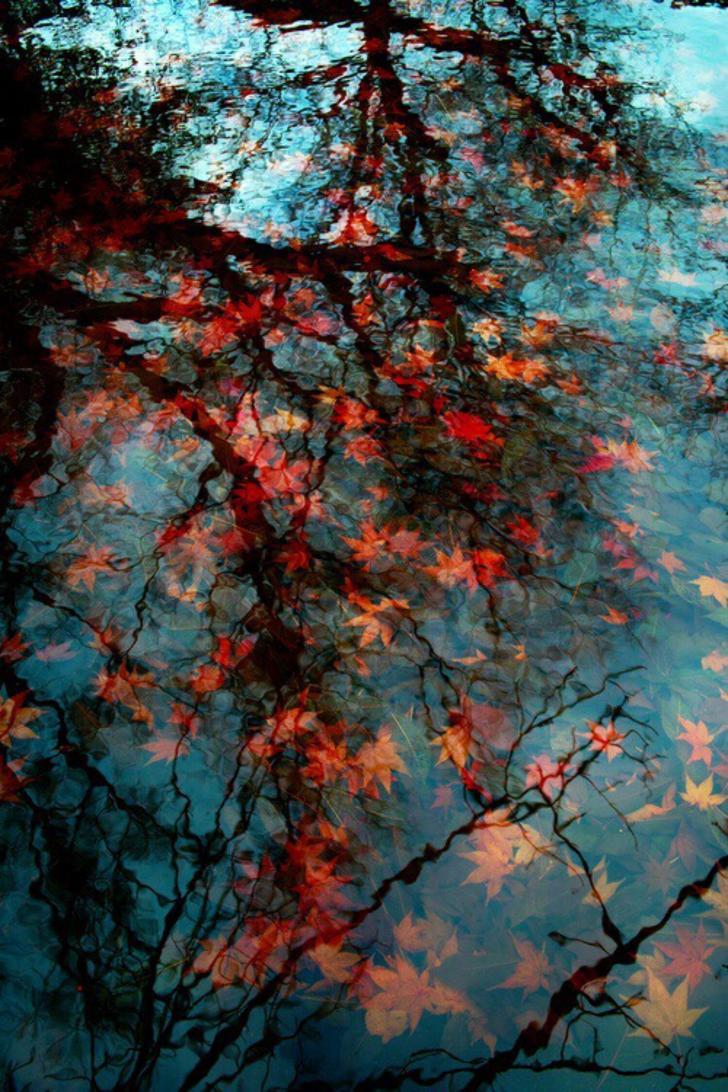 Autumn Mobile Wallpapers - Top Free Autumn Mobile Backgrounds ...