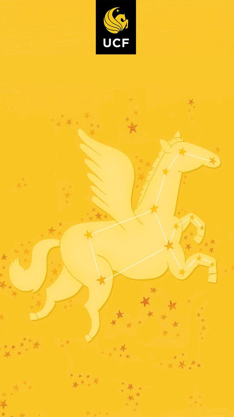 UCF Wallpapers - Top Free UCF Backgrounds - WallpaperAccess