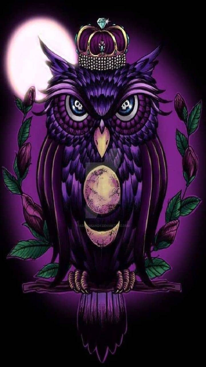 Purple Owl Wallpapers - Top Free Purple Owl Backgrounds - WallpaperAccess