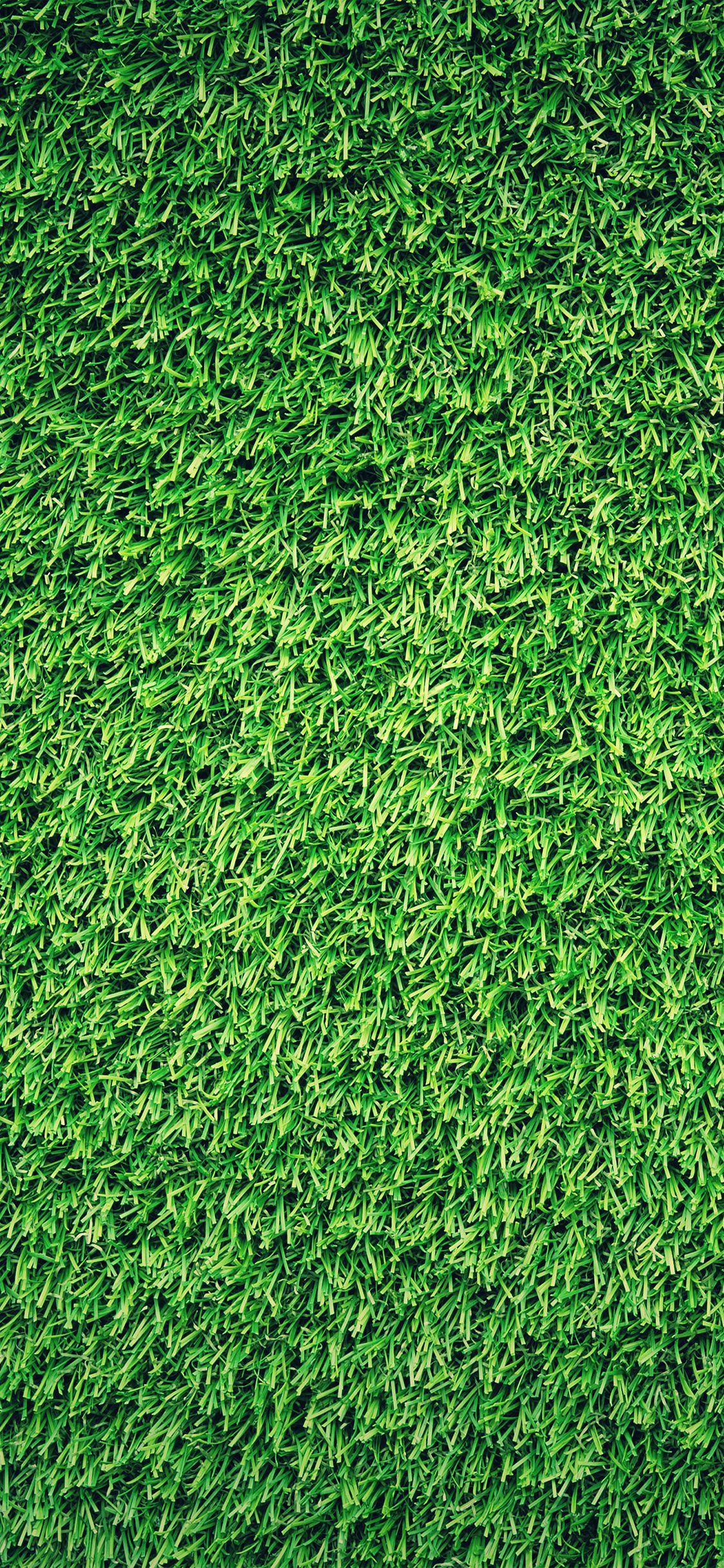 Cartoon Grass Wallpapers - Top Free Cartoon Grass Backgrounds ...