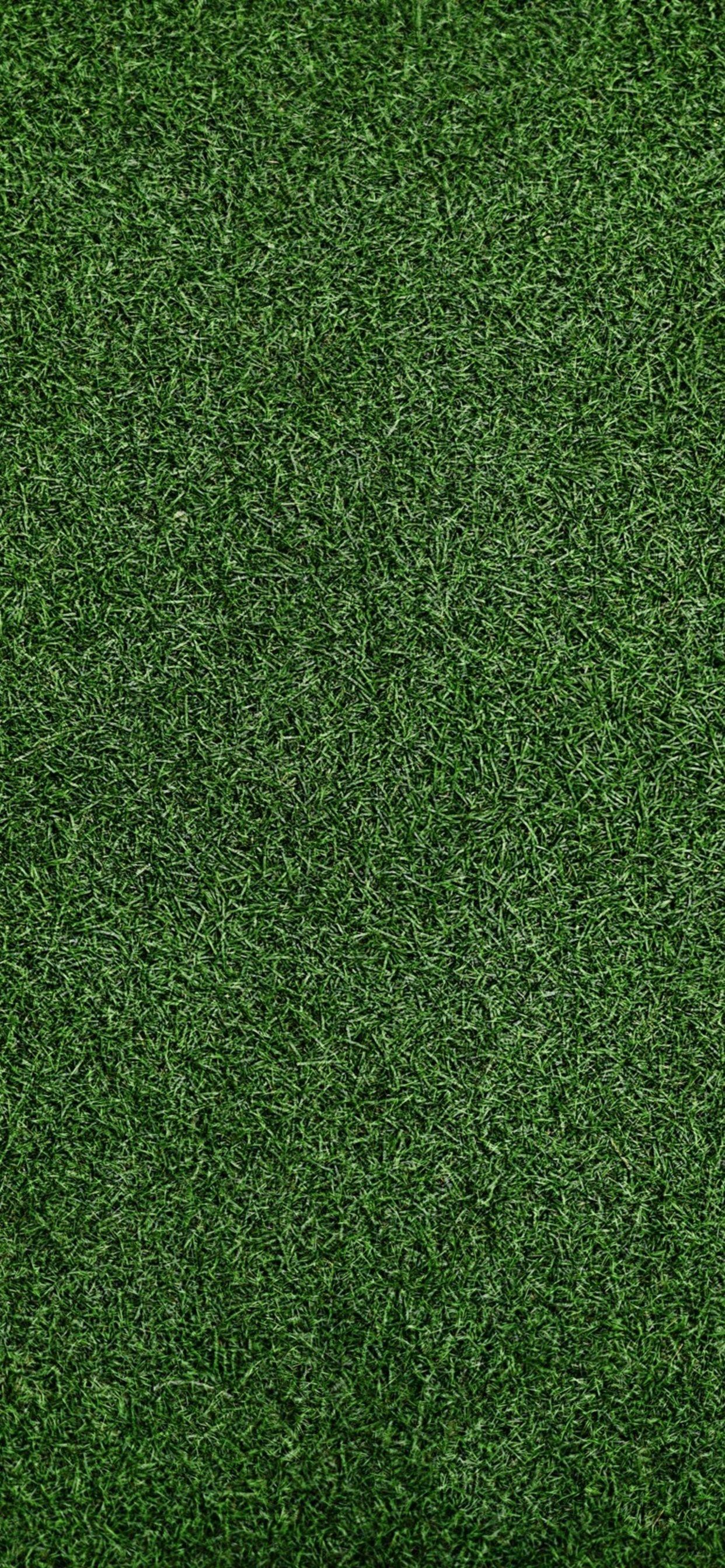 Grass iPhone Wallpapers - Top Free Grass iPhone Backgrounds ...