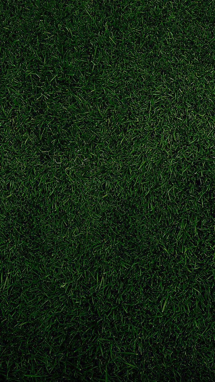 Grass iPhone Wallpapers - Top Free Grass iPhone Backgrounds ...