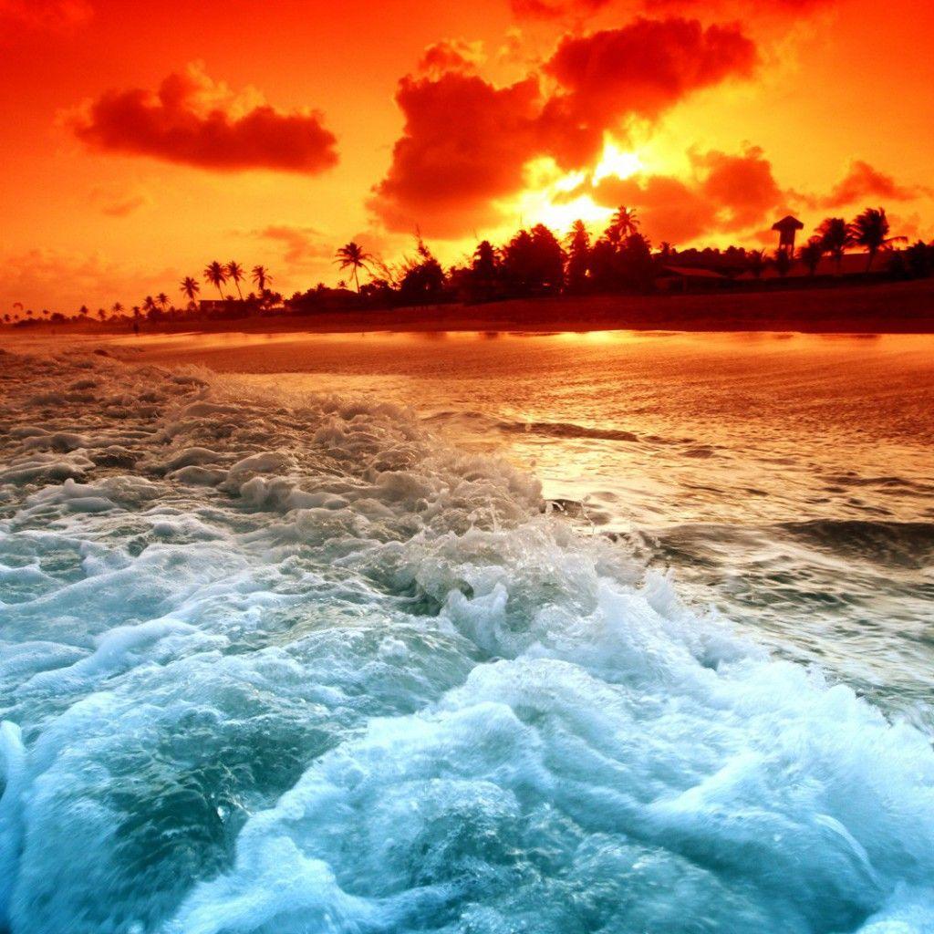 Miami Beach Sunset Wallpapers - Top Free Miami Beach Sunset Backgrounds ...