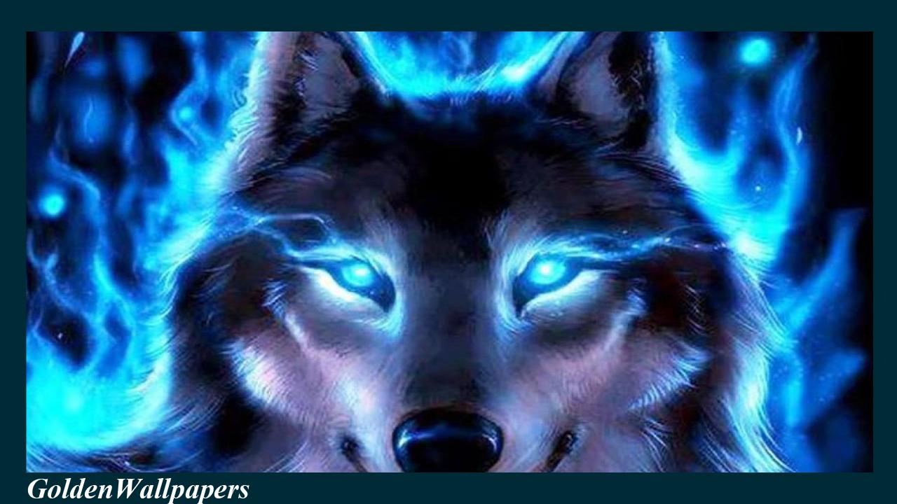 Blue Wolf Eye Wallpapers - Top Free Blue Wolf Eye Backgrounds ...