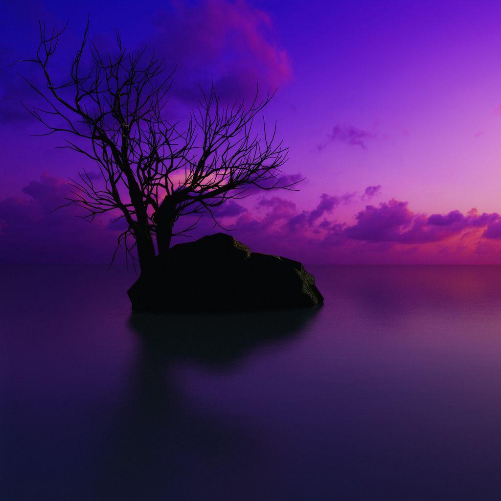 Purple iPad Wallpapers - Top Free Purple iPad Backgrounds - WallpaperAccess