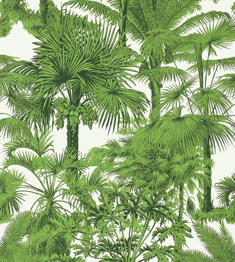 Botanical Wallpapers - Top Free Botanical Backgrounds - WallpaperAccess