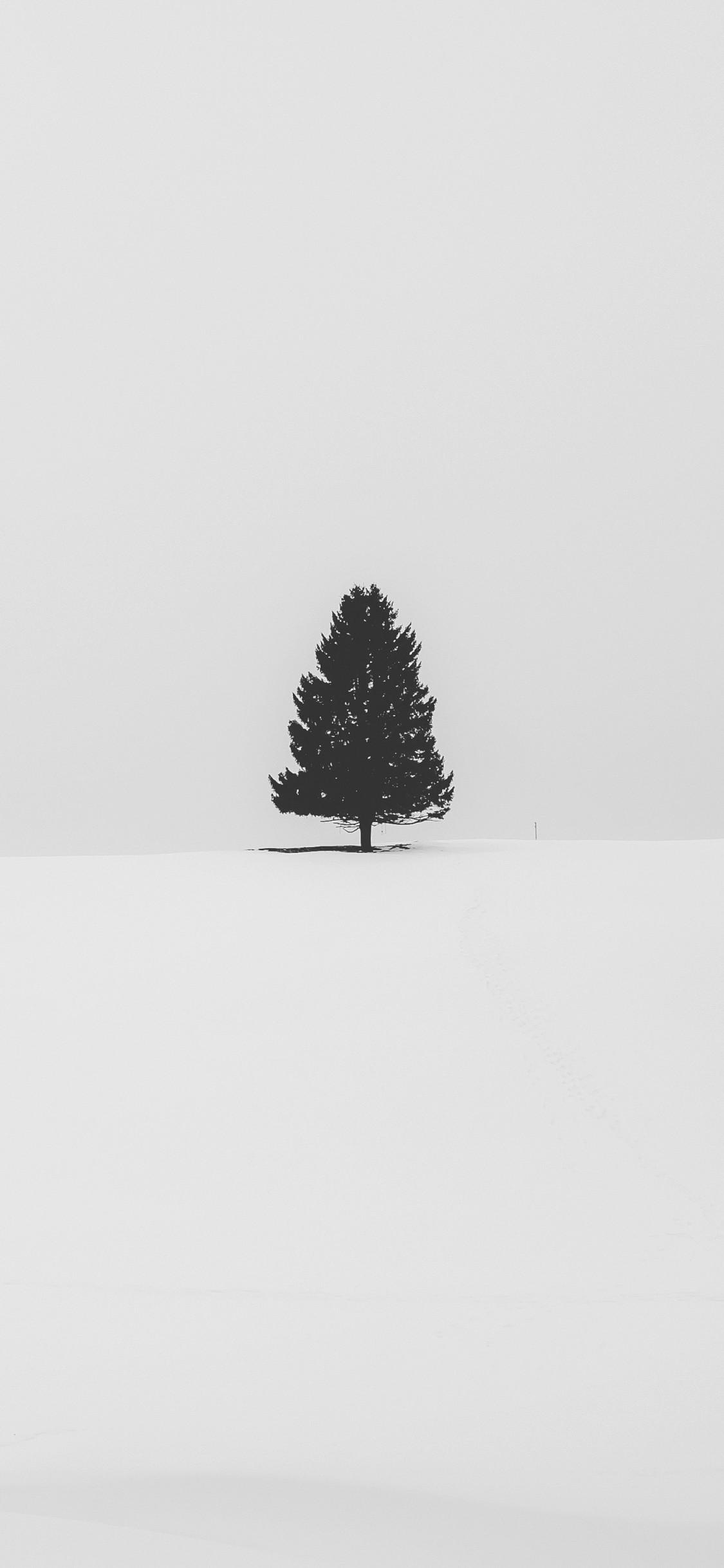 Cool iPhone White Wallpapers - Top Free Cool iPhone White Backgrounds ...