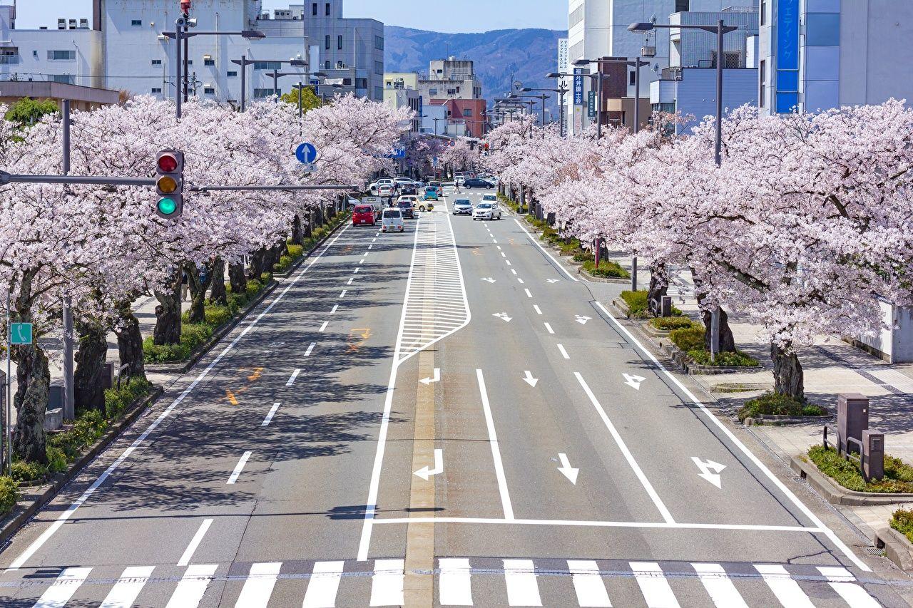 Tokyo Road Wallpapers - Top Free Tokyo Road Backgrounds - WallpaperAccess