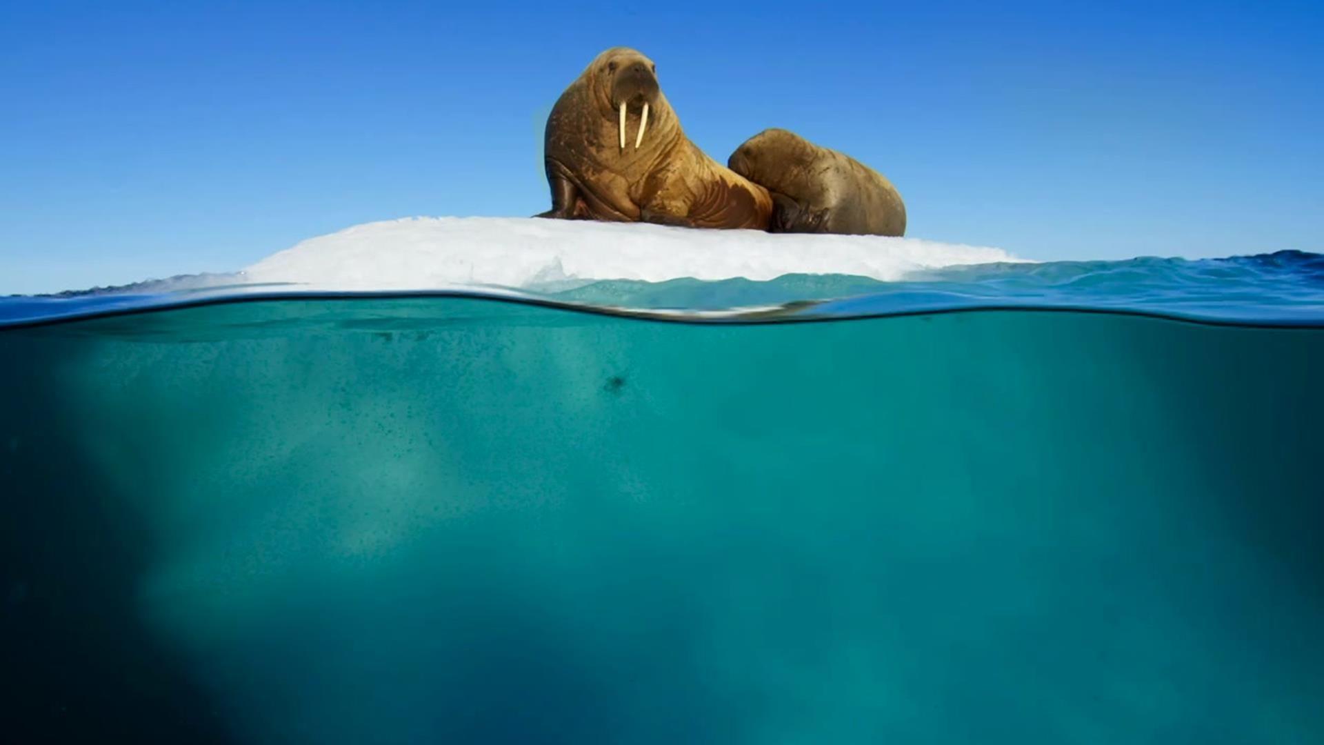 Blue Planet HD Wallpapers - Top Free Blue Planet HD Backgrounds ...