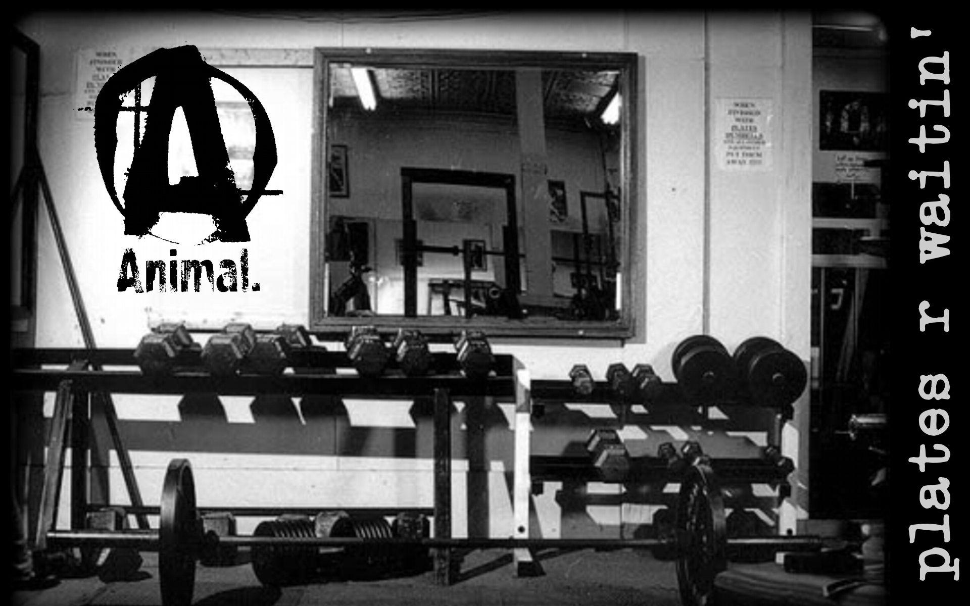 Weight Lifting Wallpapers - Top Free Weight Lifting Backgrounds ...