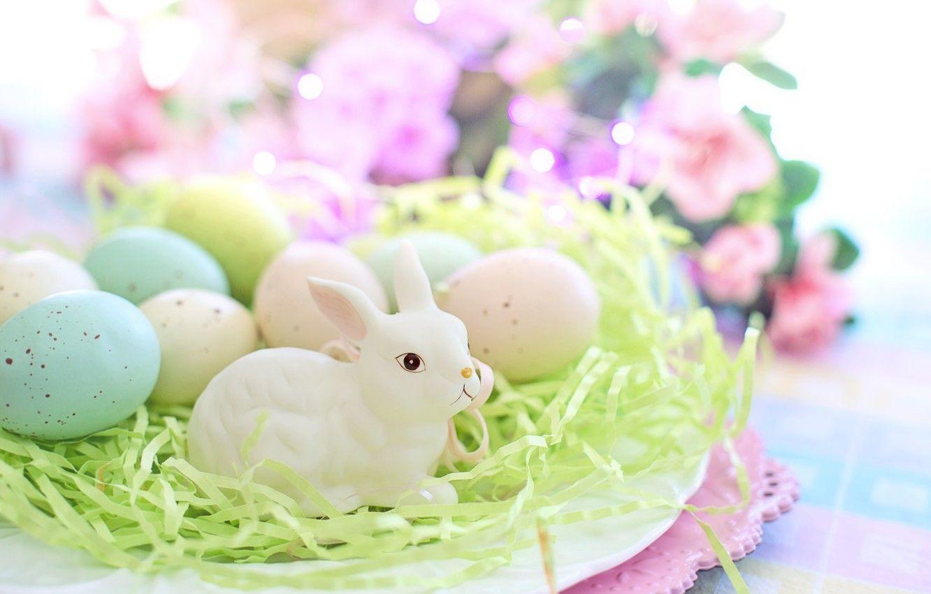 Easter Bunny Wallpapers - Top Free Easter Bunny Backgrounds ...
