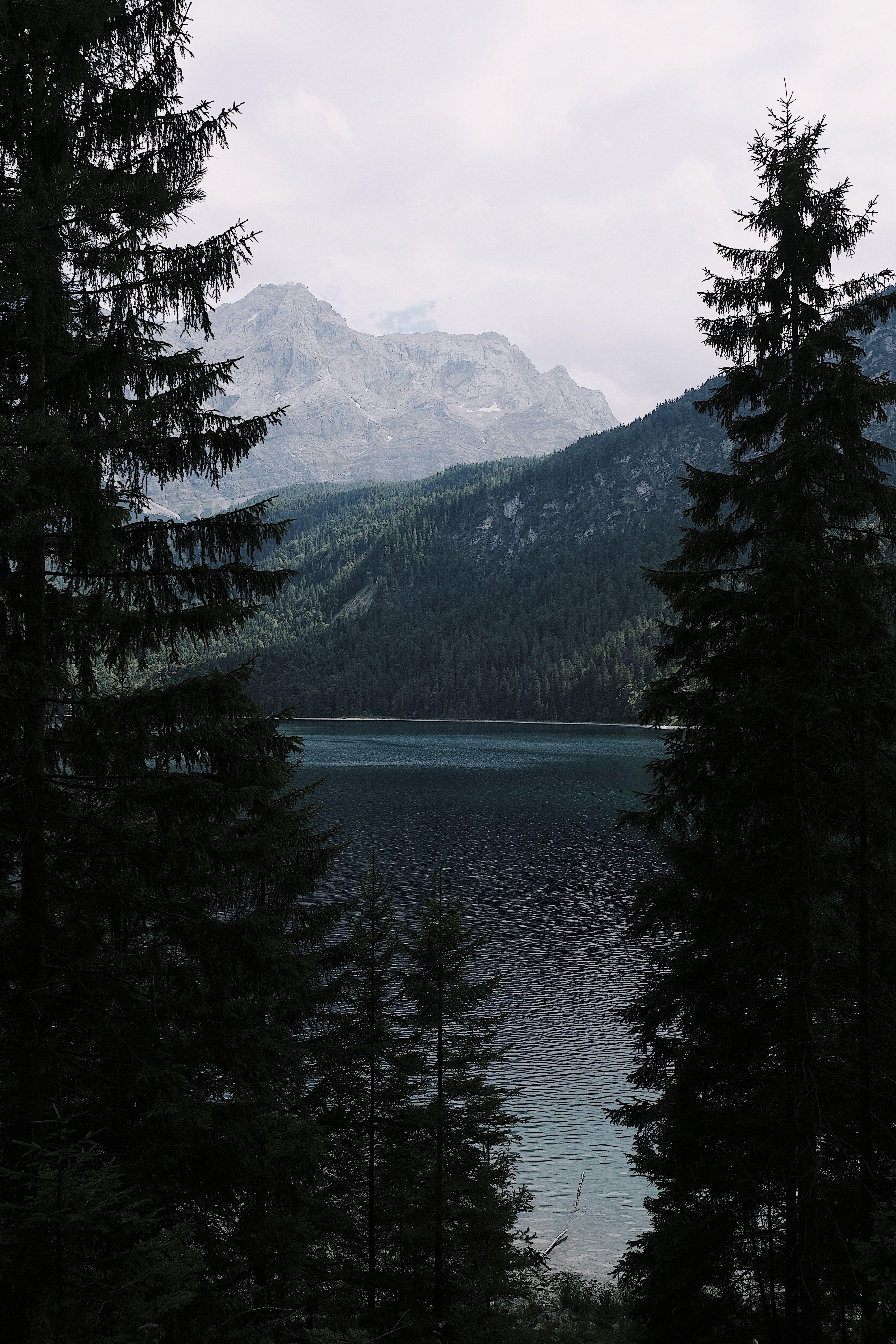 Evergreen Wallpapers - Top Free Evergreen Backgrounds - WallpaperAccess