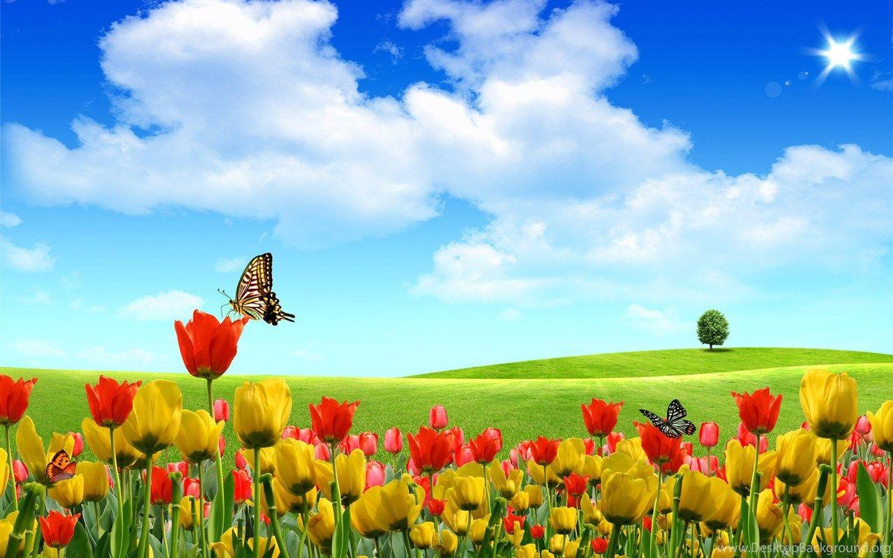 Flower Landscape Wallpapers - Top Free Flower Landscape Backgrounds ...
