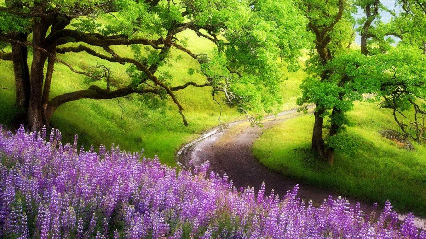 Flower Landscape Wallpapers - Top Free Flower Landscape Backgrounds ...