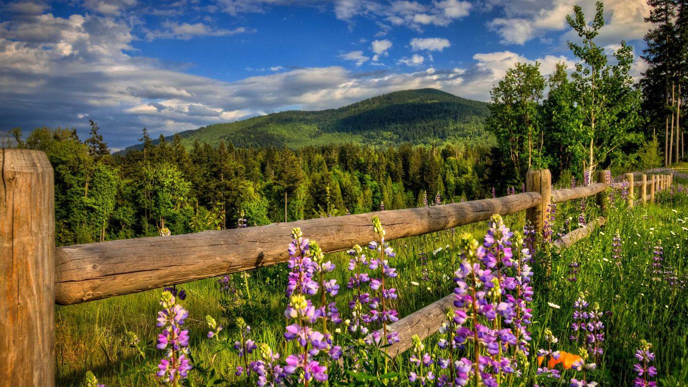 Flower Landscape Wallpapers - Top Free Flower Landscape Backgrounds ...