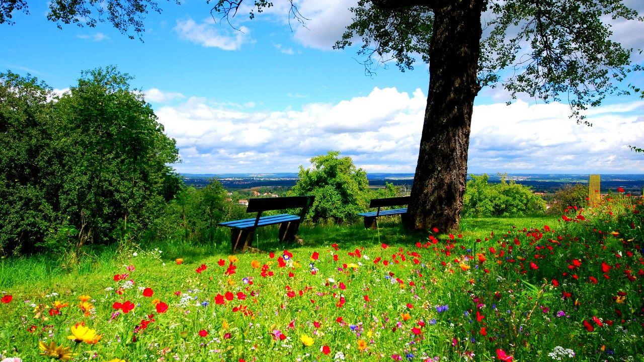 Flower Landscape Wallpapers - Top Free Flower Landscape Backgrounds ...