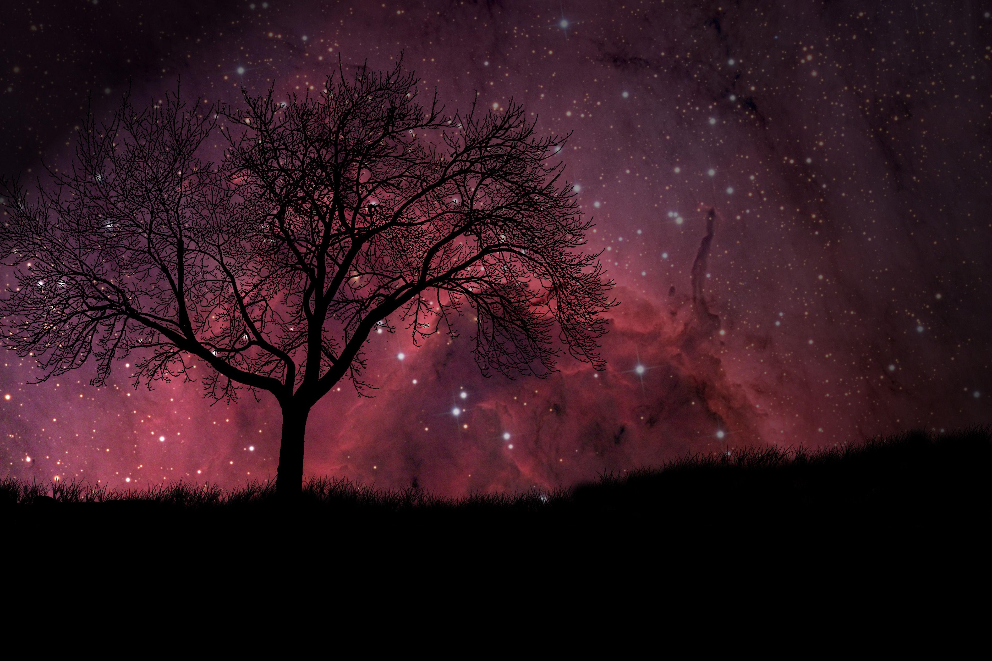 Star Laptop Wallpapers - Top Free Star Laptop Backgrounds - WallpaperAccess