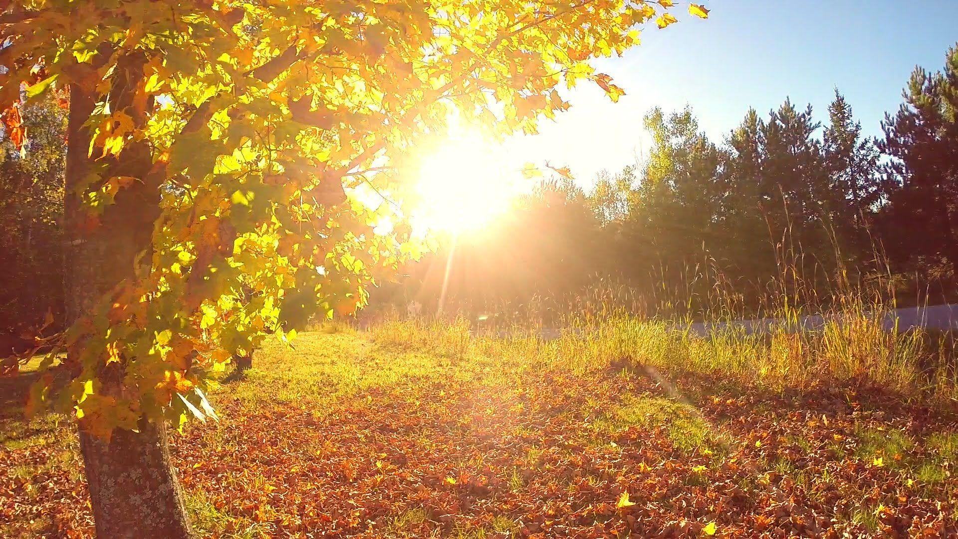 Vermont Fall Foliage Wallpapers - Top Free Vermont Fall Foliage ...