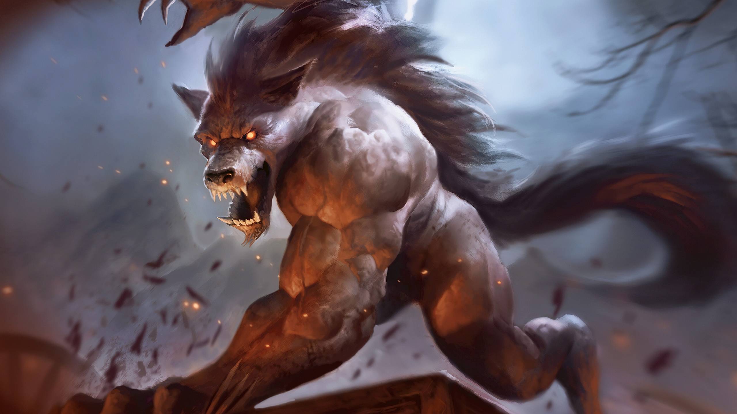 2560X1440 Magic Wallpapers - Top Free 2560X1440 Magic Backgrounds ...