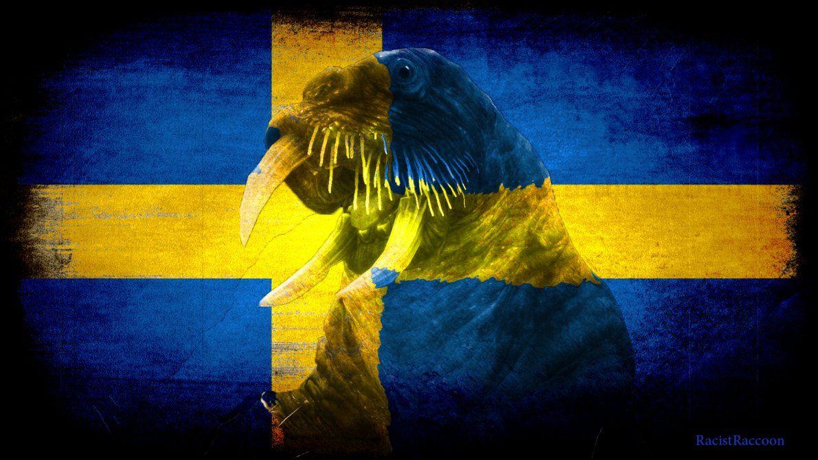 Walrus Wallpapers - Top Free Walrus Backgrounds - WallpaperAccess