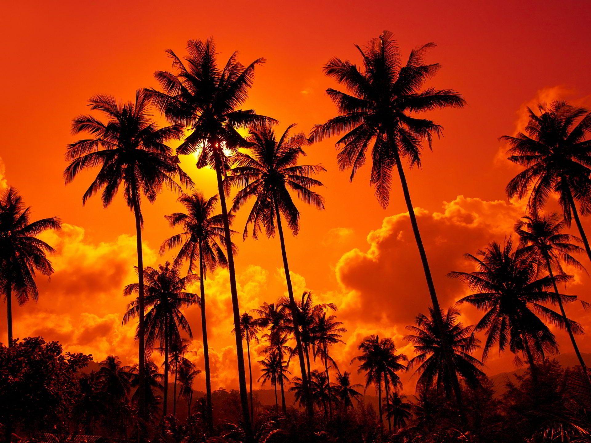 Red Sunset Wallpapers - Top Free Red Sunset Backgrounds - WallpaperAccess