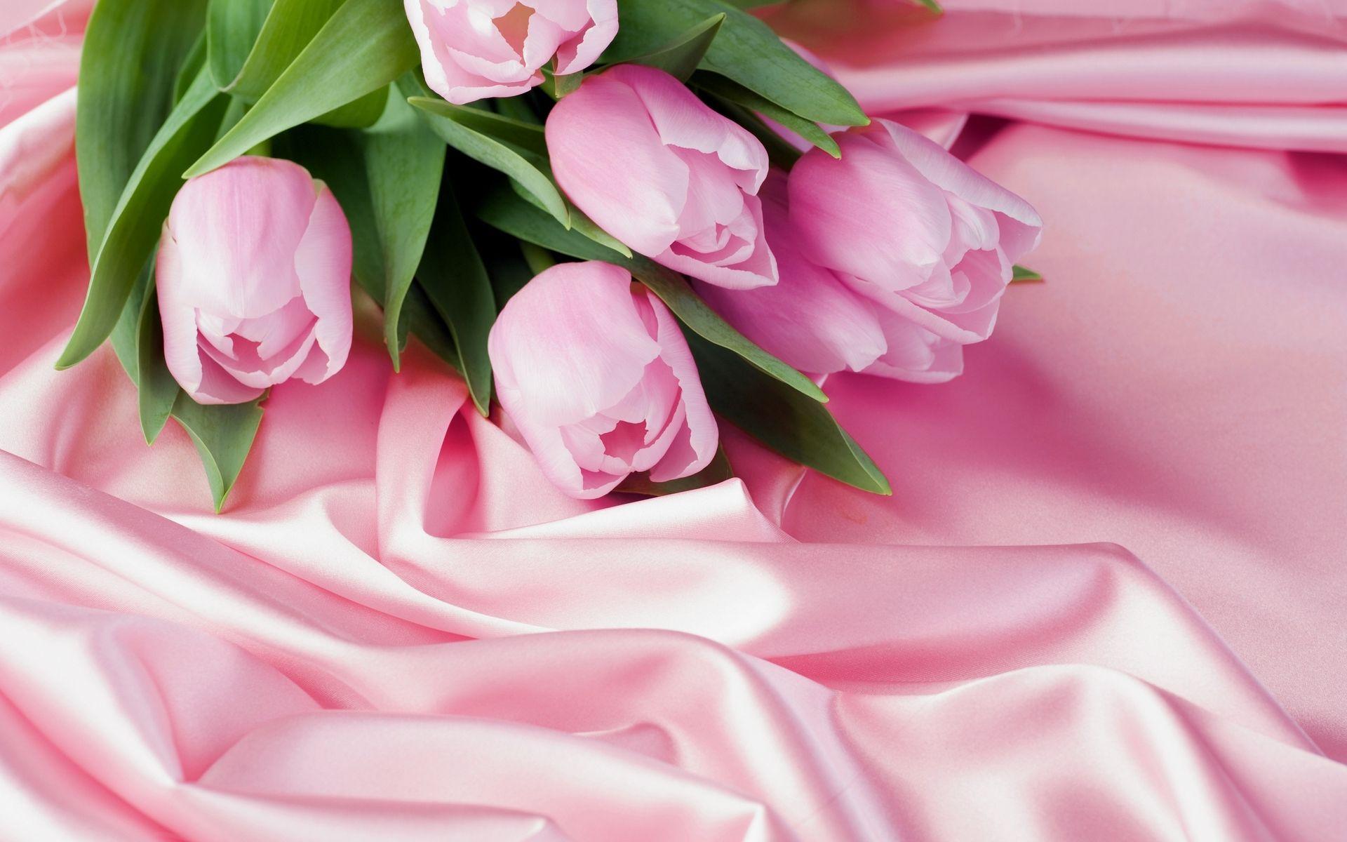 Pink Tulips Wallpapers - Top Free Pink Tulips Backgrounds - WallpaperAccess