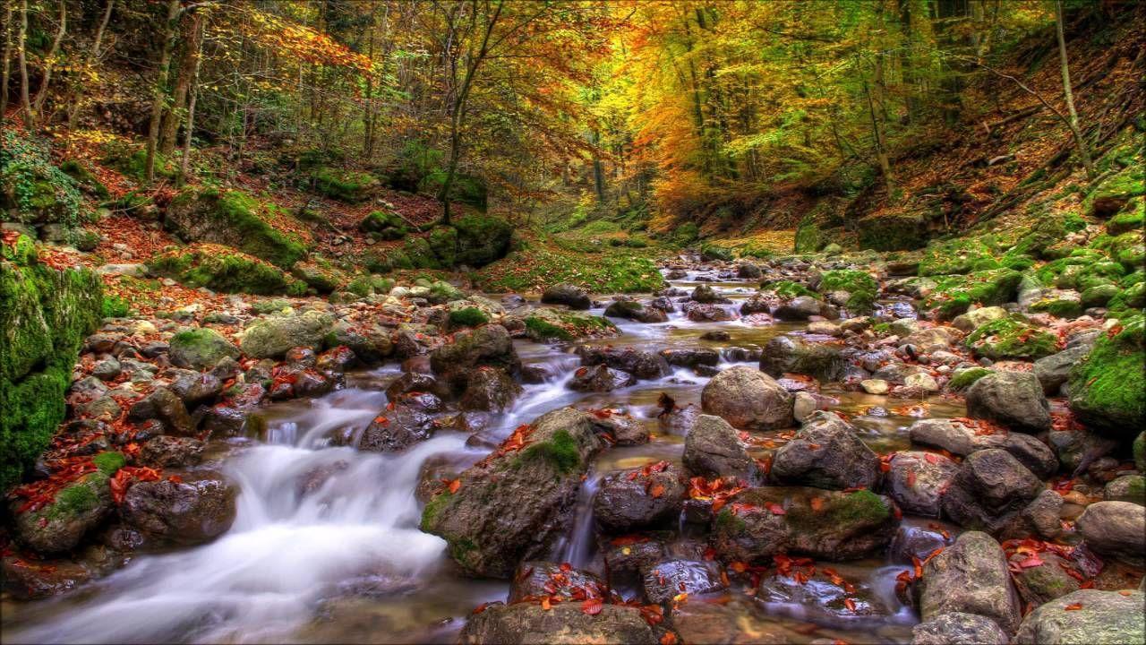 Mountain Streams Wallpapers - Top Free Mountain Streams Backgrounds ...