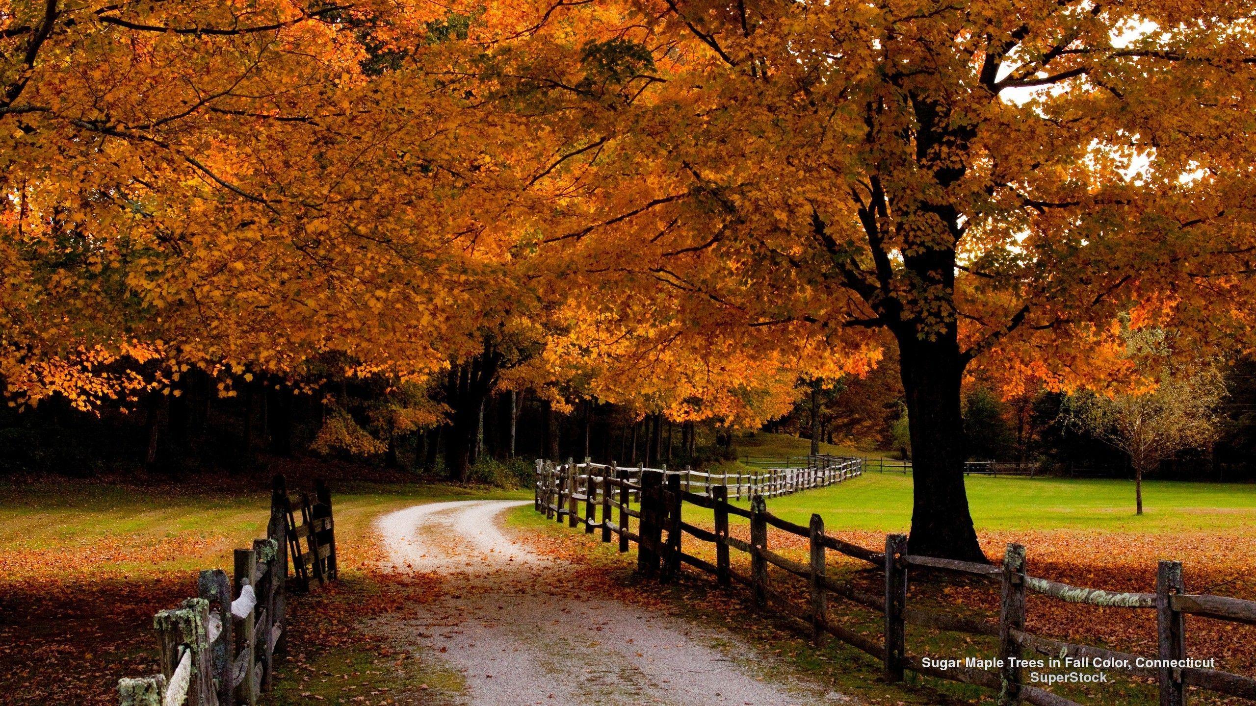 New England Fall Wallpapers - Top Free New England Fall Backgrounds ...