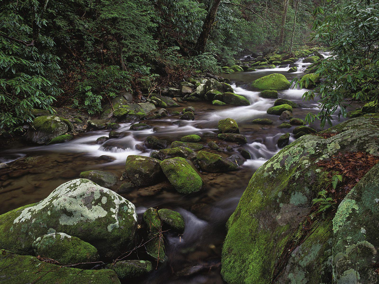 Mountain Streams Wallpapers - Top Free Mountain Streams Backgrounds ...