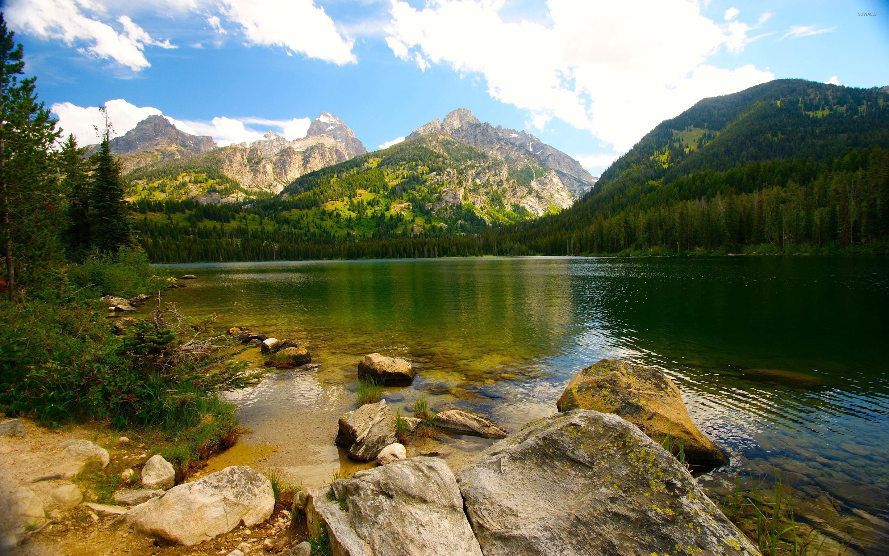 Forest Water Wallpapers - Top Free Forest Water Backgrounds ...