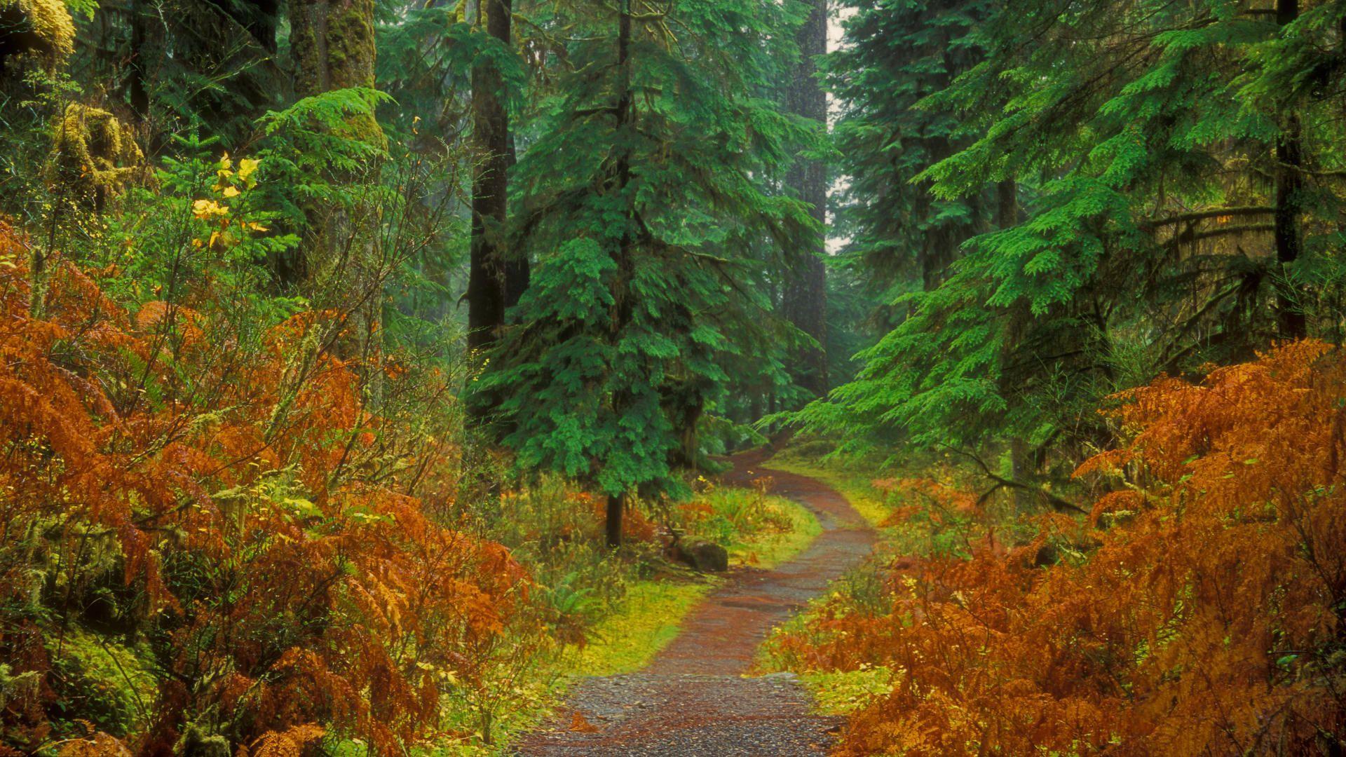 Washington Desktop Wallpapers - Top Free Washington Desktop Backgrounds ...