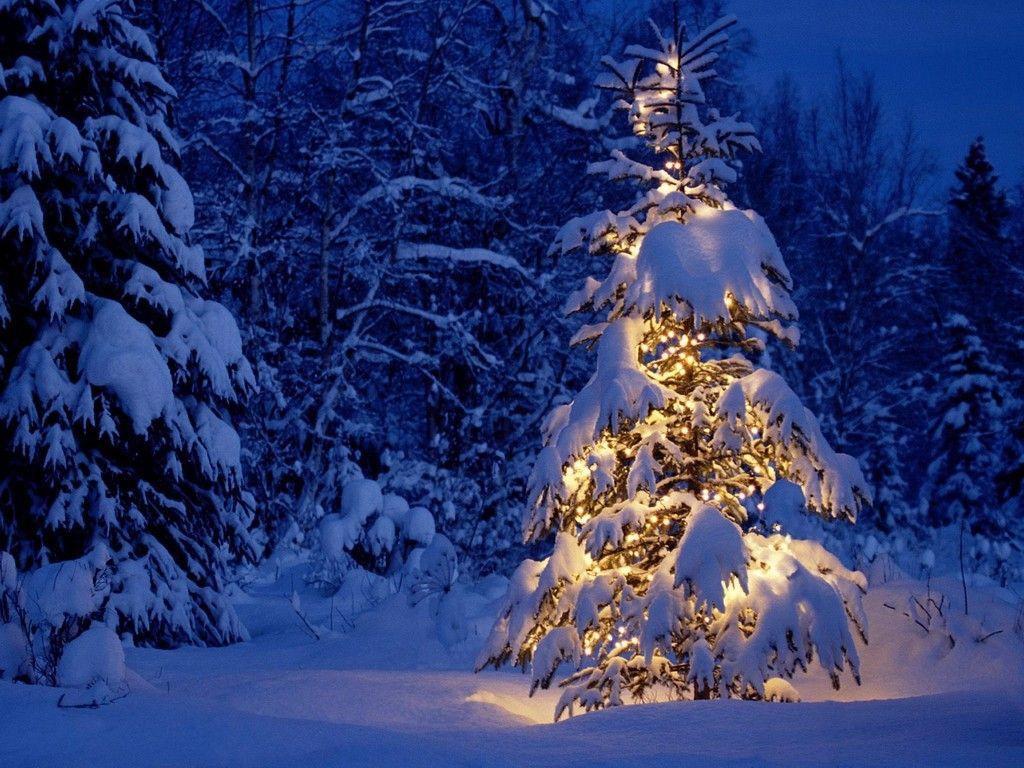 Cool Snow Wallpapers - Top Free Cool Snow Backgrounds - WallpaperAccess