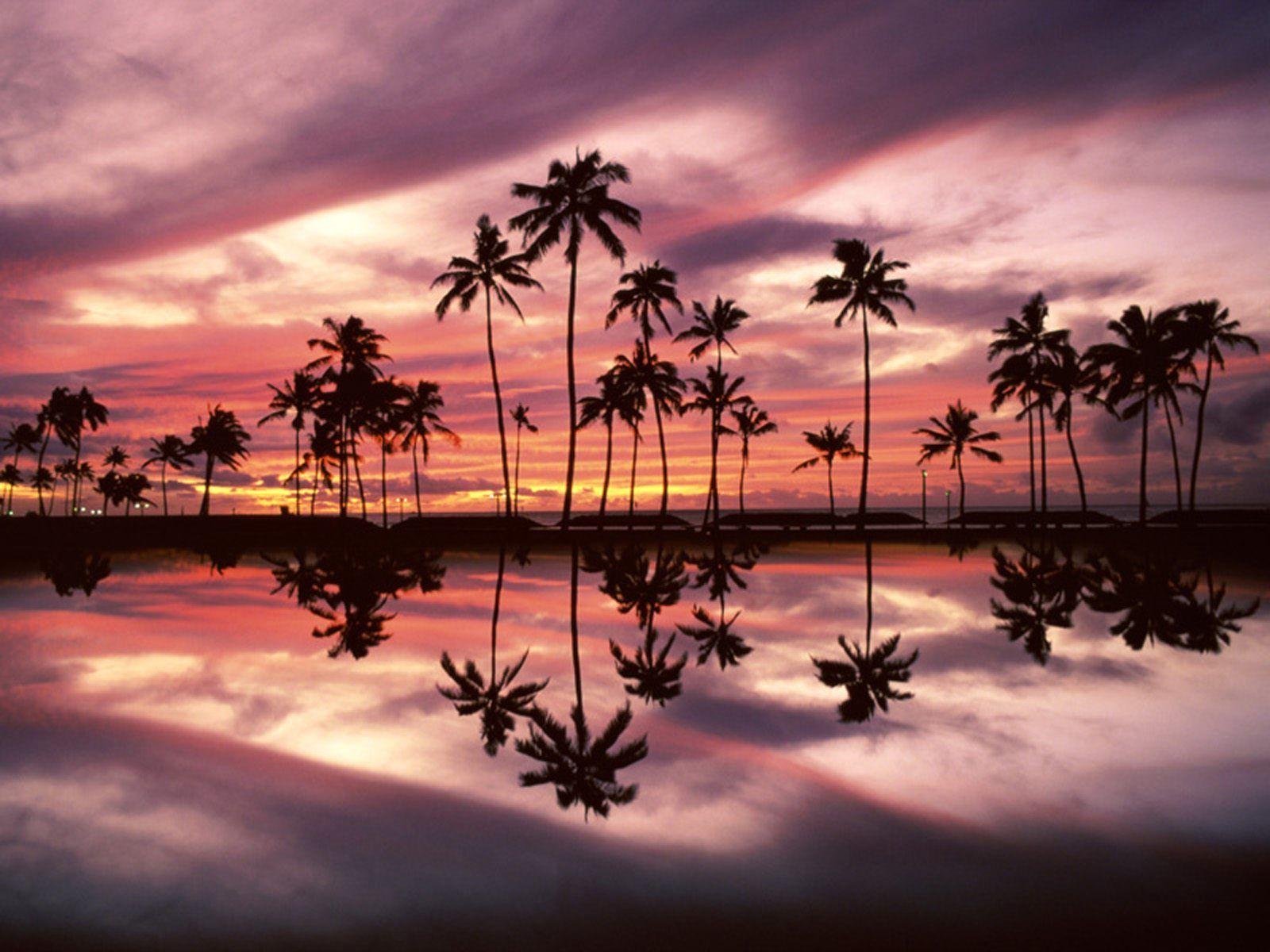 Honolulu Wallpapers - Top Free Honolulu Backgrounds - WallpaperAccess