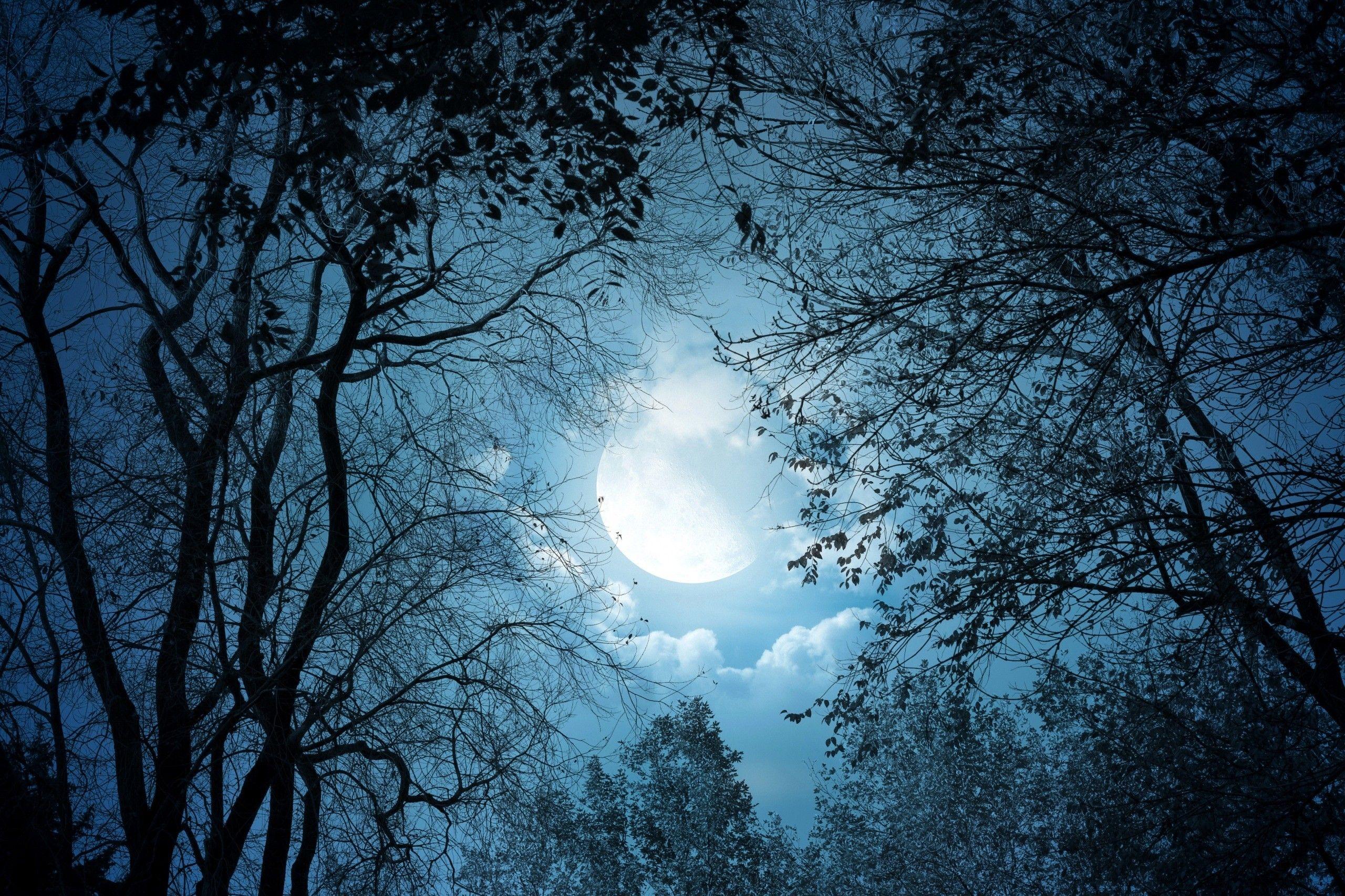 Moonlight Wallpapers - Top Free Moonlight Backgrounds - WallpaperAccess