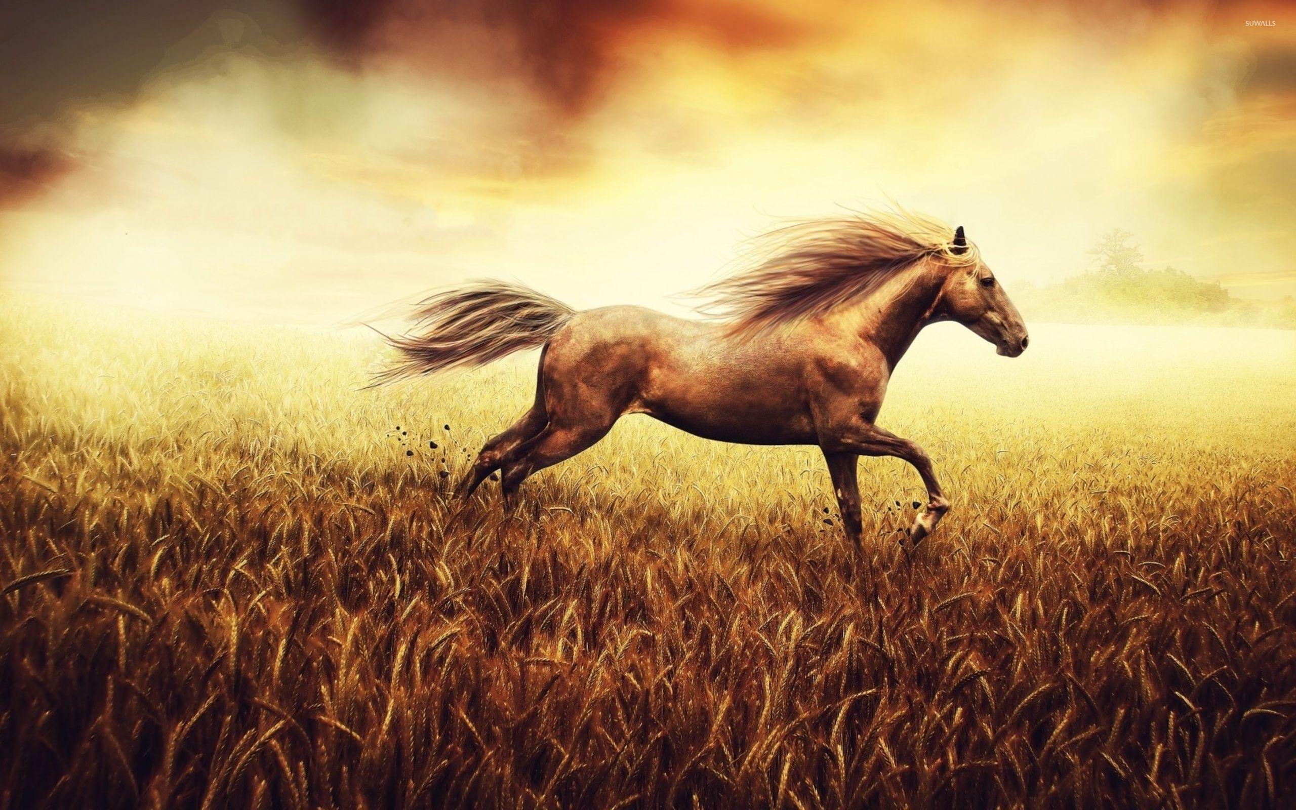 Stallion Wallpapers - Top Free Stallion Backgrounds - WallpaperAccess