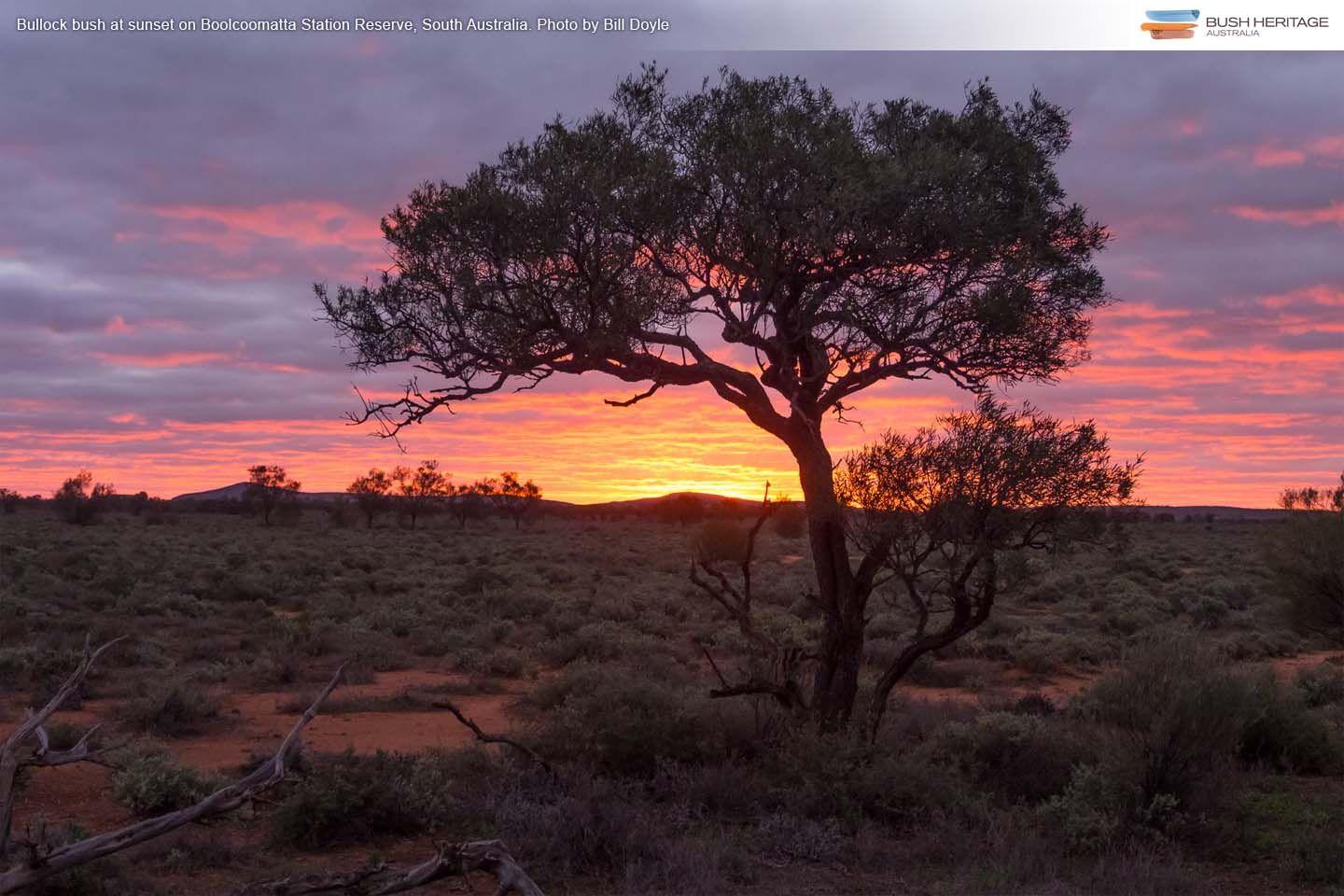 Australian Landscape Wallpapers - Top Free Australian Landscape ...