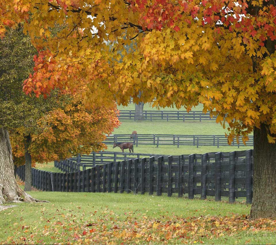 Fall Farm Wallpapers - Top Free Fall Farm Backgrounds - WallpaperAccess