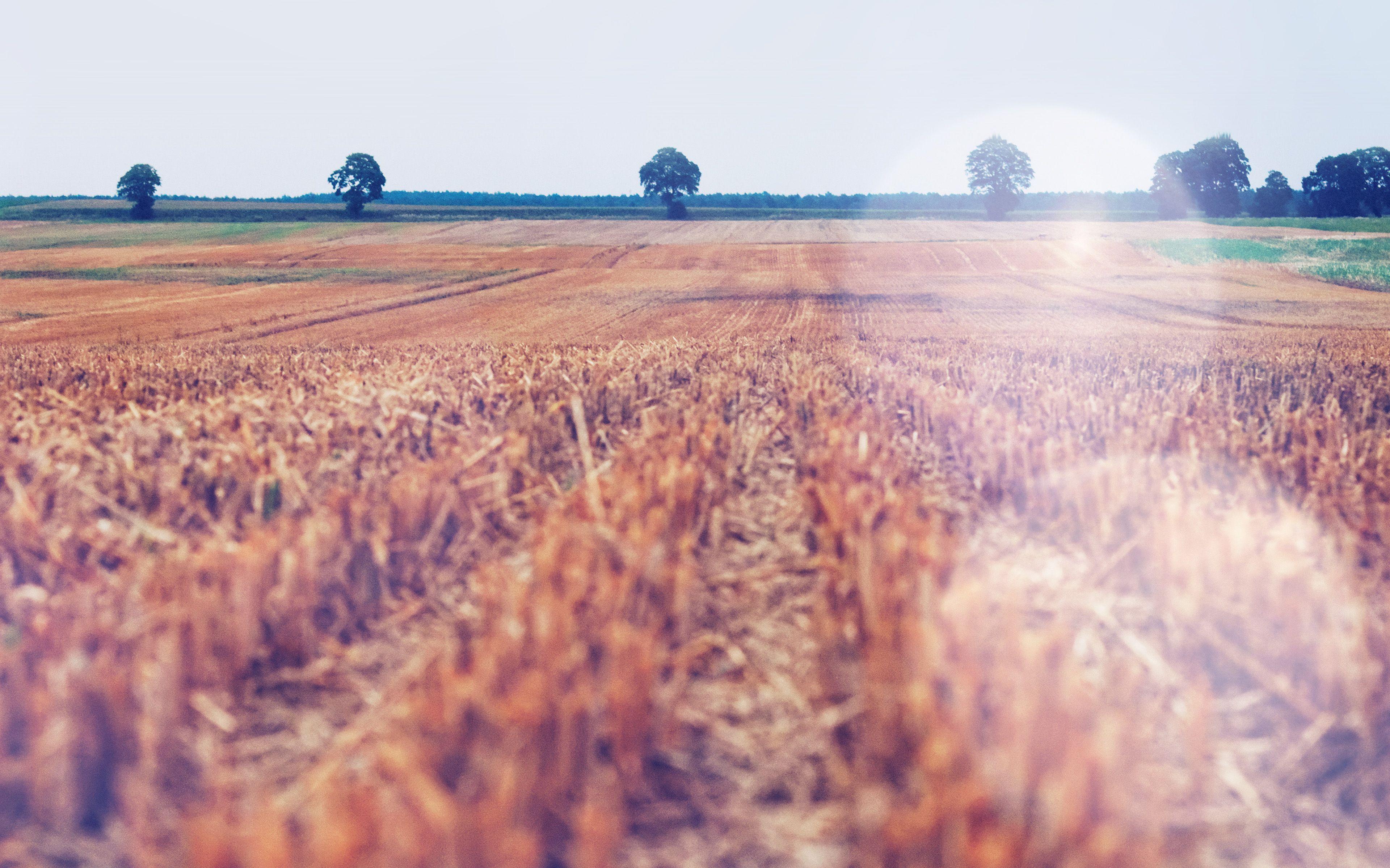 Fall Farm Wallpapers - Top Free Fall Farm Backgrounds - WallpaperAccess