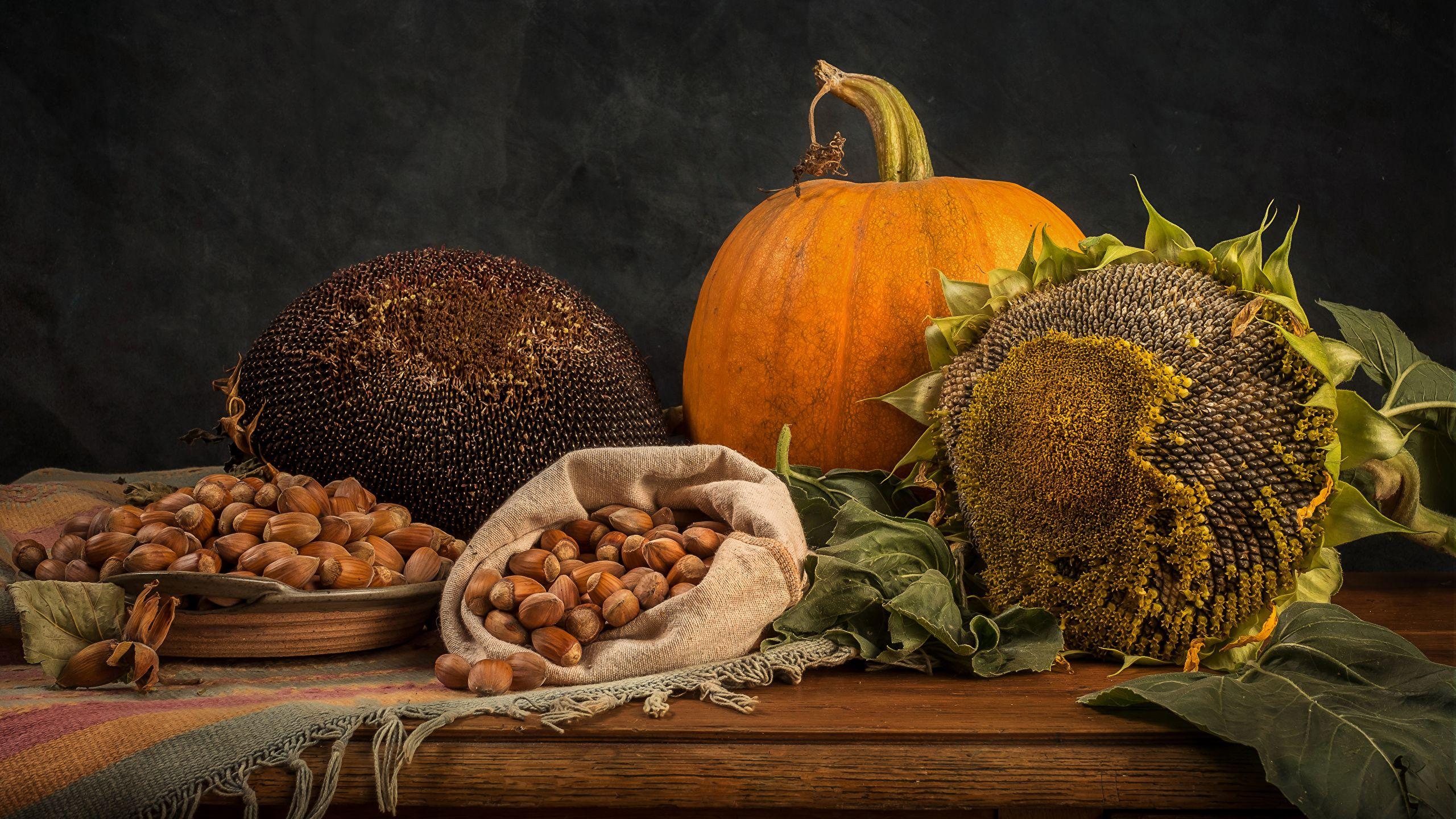 Pumpkin Sunflower Wallpapers - Top Free Pumpkin Sunflower Backgrounds ...