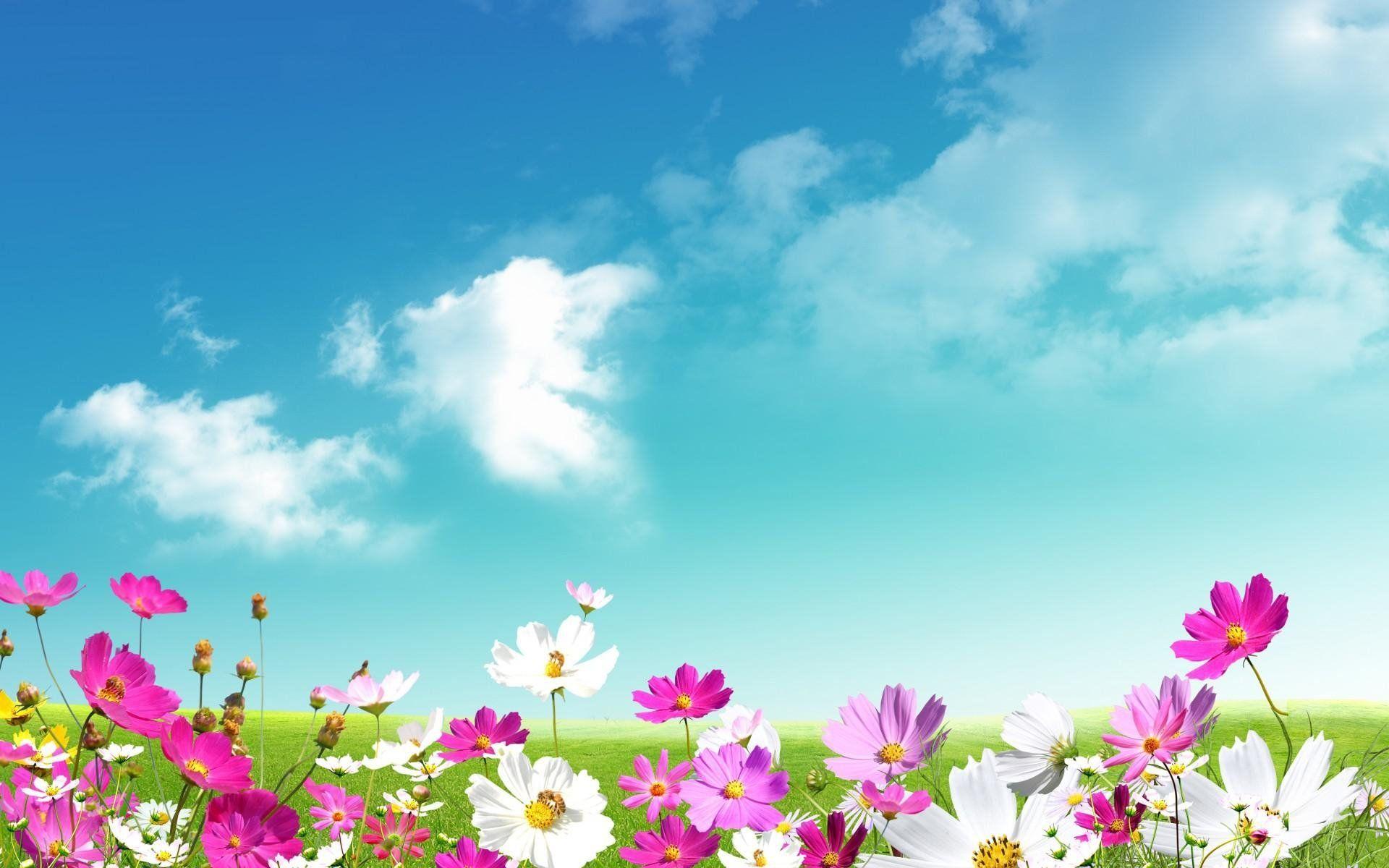Welcome Spring Wallpapers - Top Free Welcome Spring Backgrounds ...