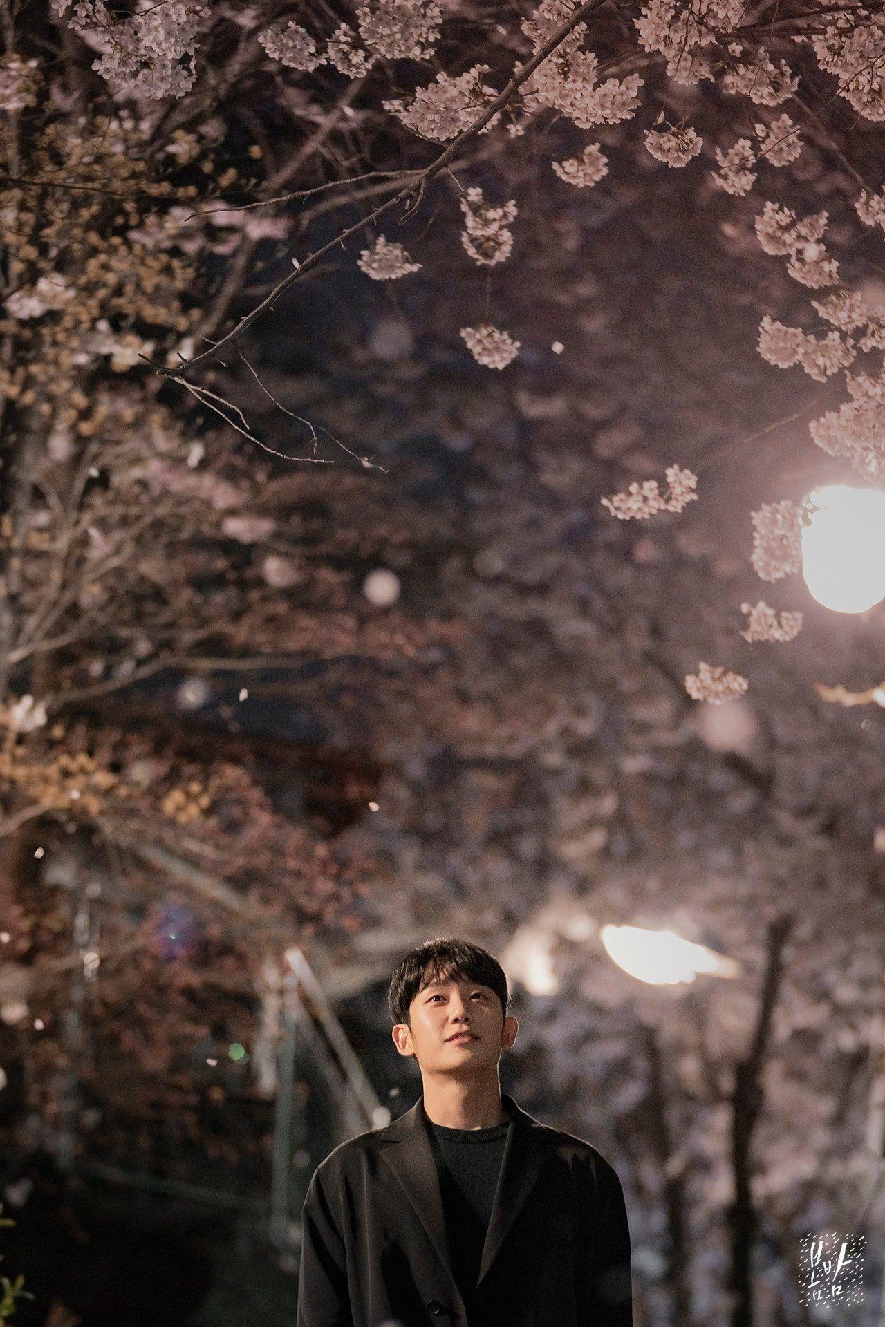 Spring Night Wallpapers - Top Free Spring Night Backgrounds ...