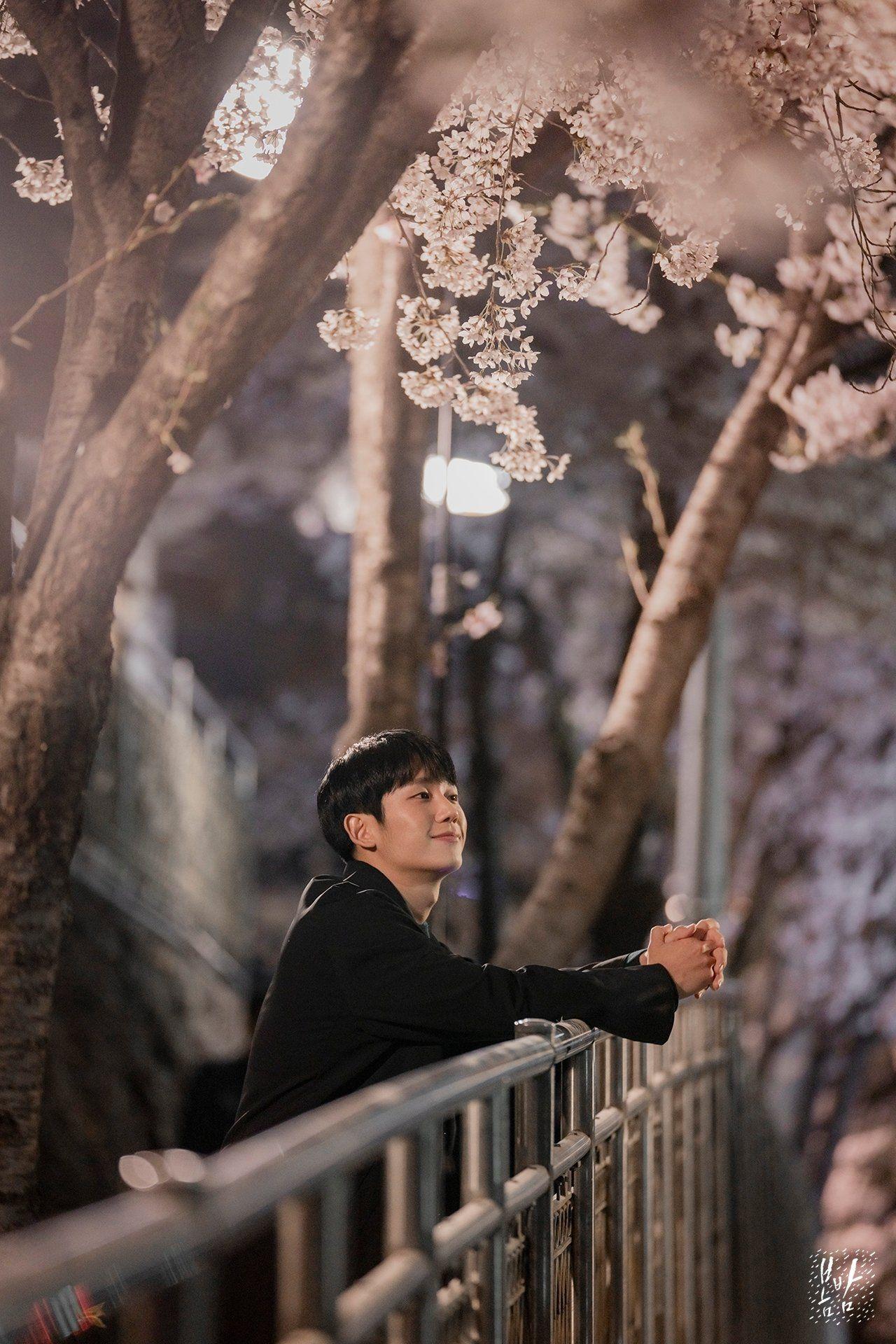 Spring Night Wallpapers - Top Free Spring Night Backgrounds ...