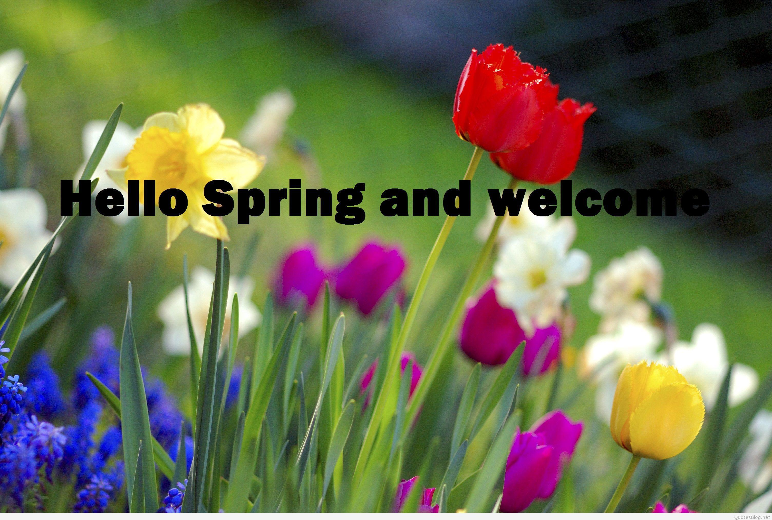 Welcome Spring Wallpapers - Top Free Welcome Spring Backgrounds ...