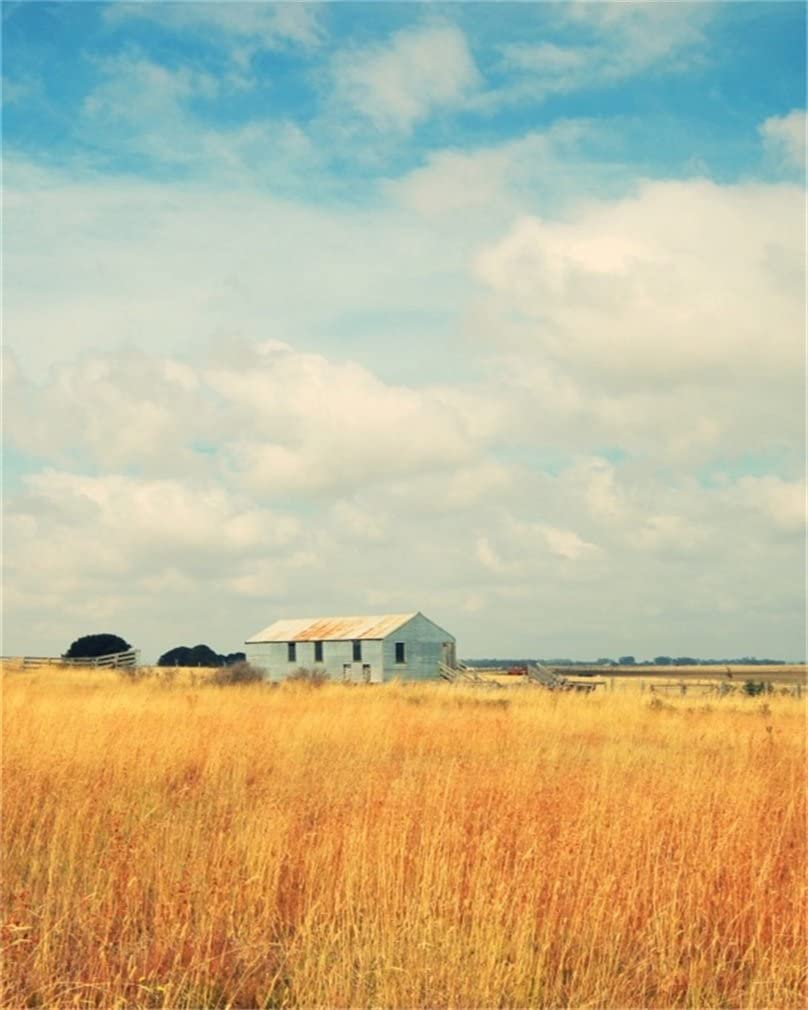 Old Farm Wallpapers - Top Free Old Farm Backgrounds - WallpaperAccess