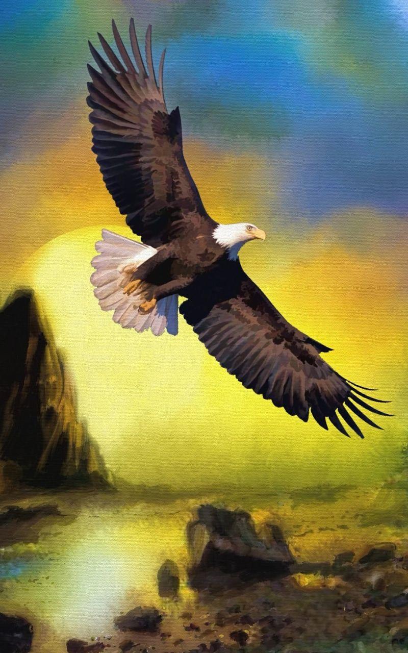 Eagle Mobile Wallpapers - Top Free Eagle Mobile Backgrounds ...