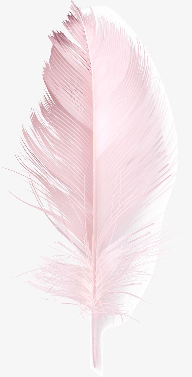 Pink Feather Wallpapers - Top Free Pink Feather Backgrounds ...