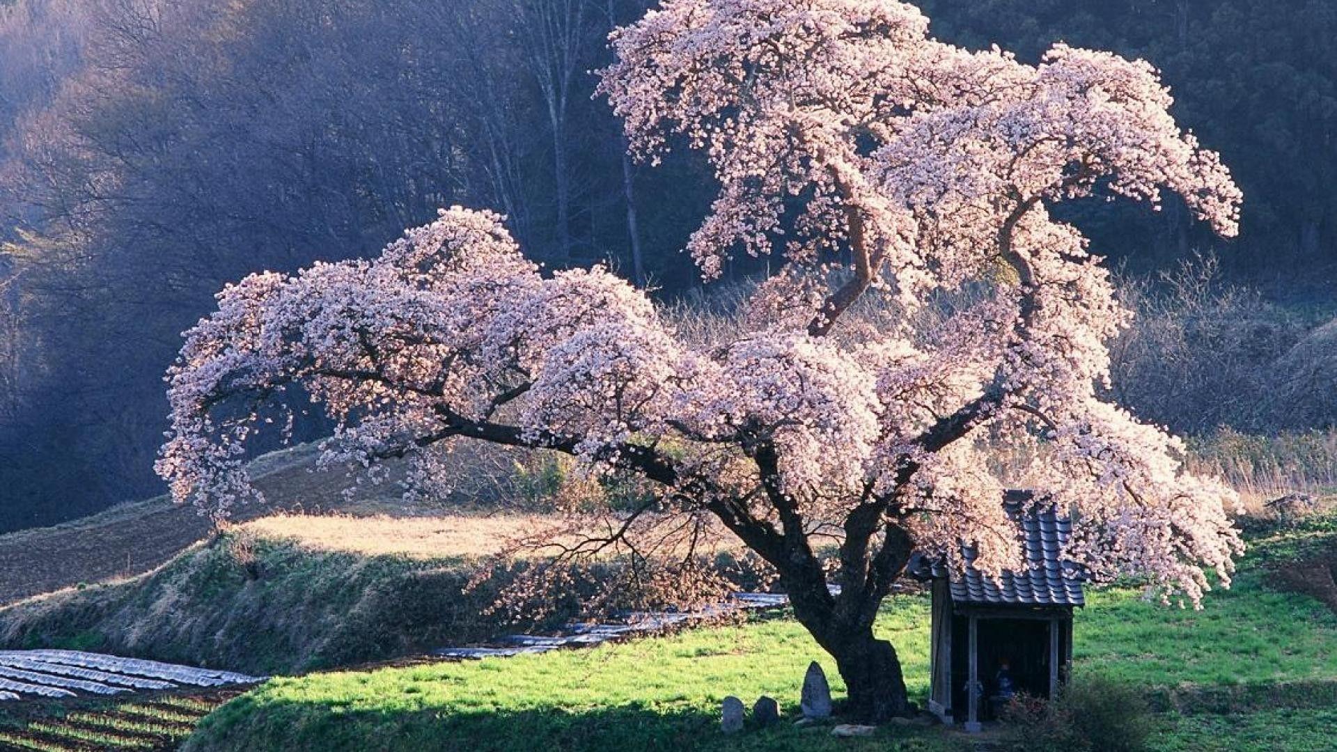 Spiritual Desktop Wallpapers - Top Free Spiritual Desktop Backgrounds ...