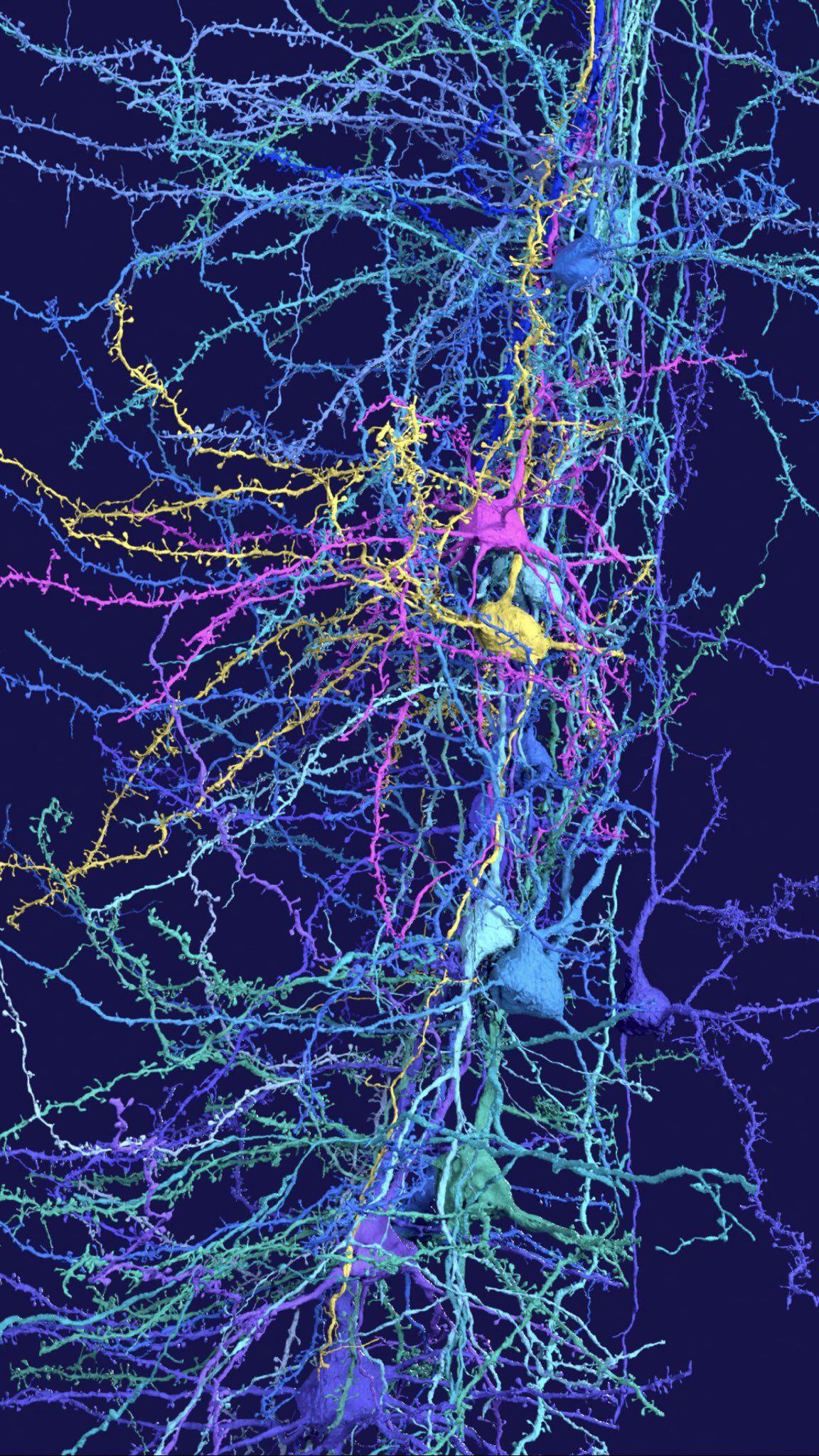 Science Phone Wallpapers - Top Free Science Phone Backgrounds ...