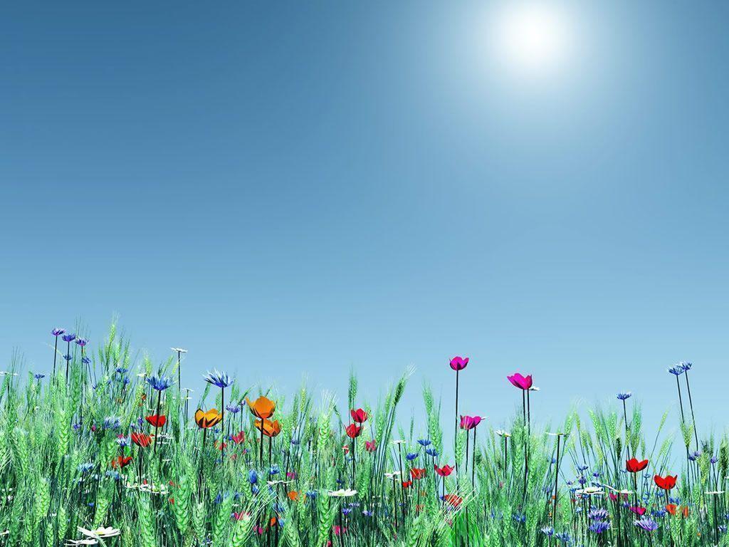 Simple Spring Wallpapers - Top Free Simple Spring Backgrounds ...
