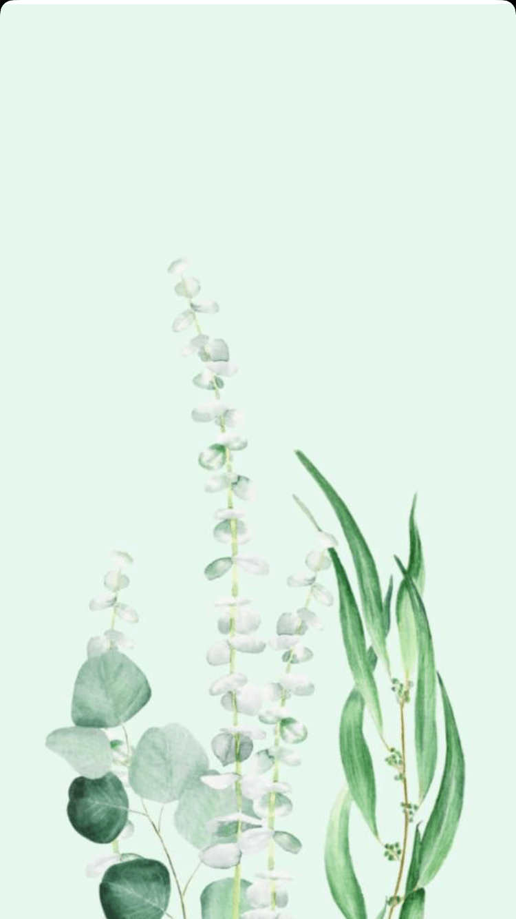 Simple Spring Wallpapers - Top Free Simple Spring Backgrounds ...